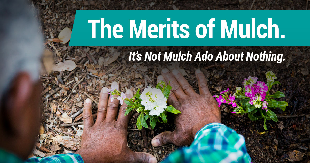 How to Choose the Best Mulch - H2OC Stormwater Program