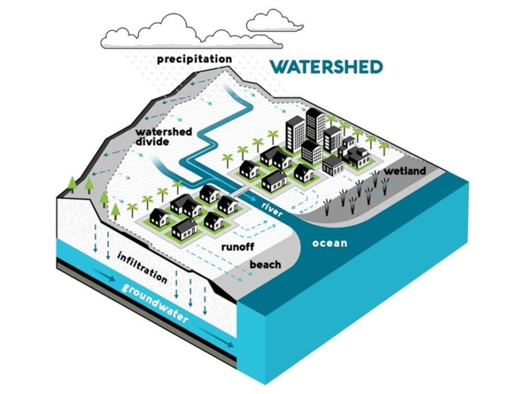 A Watershed Moment: Tips for Protecting and Appreciating OC’s ...