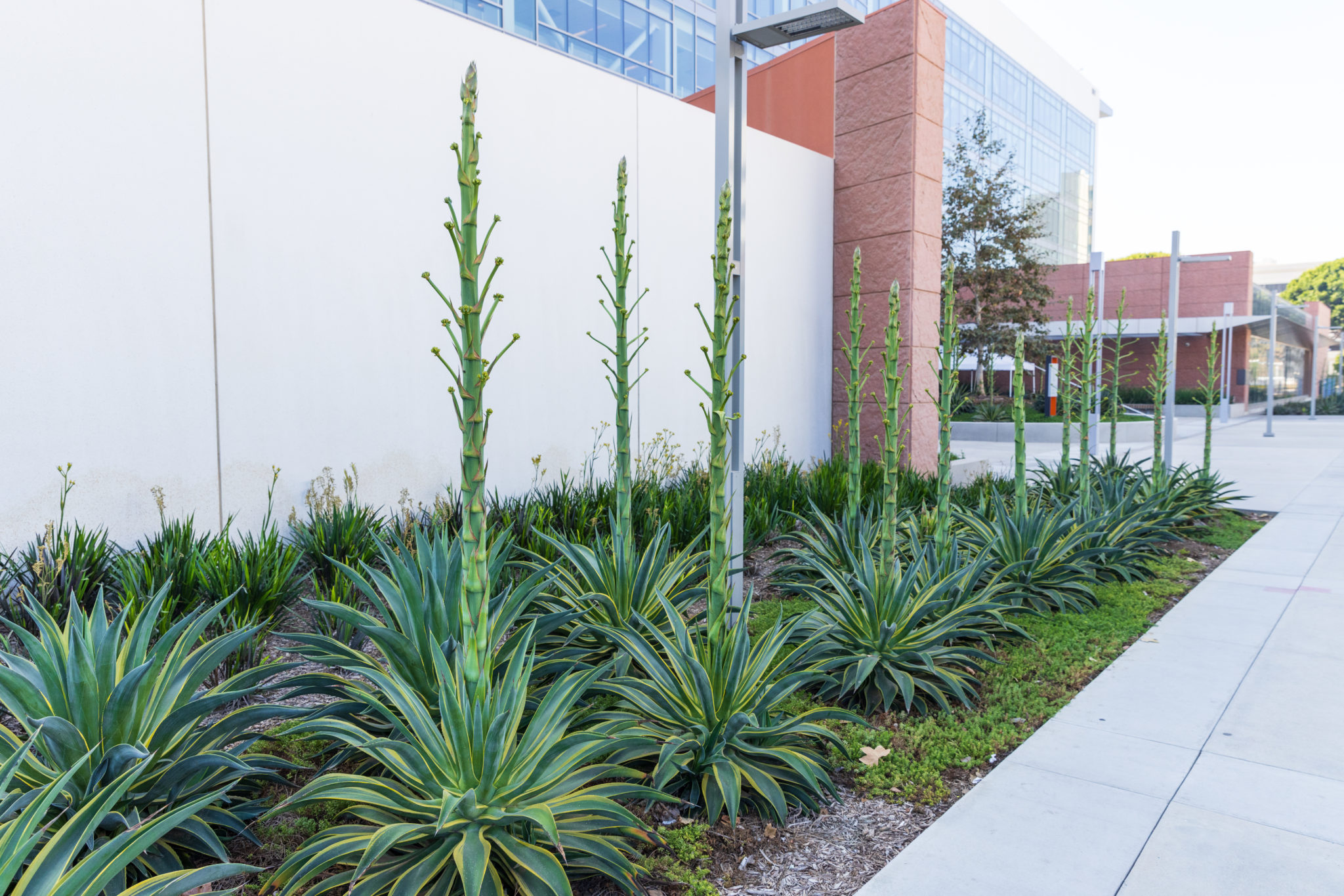 Get to Know Orange County's Stormwater Design Features - H2OC ...